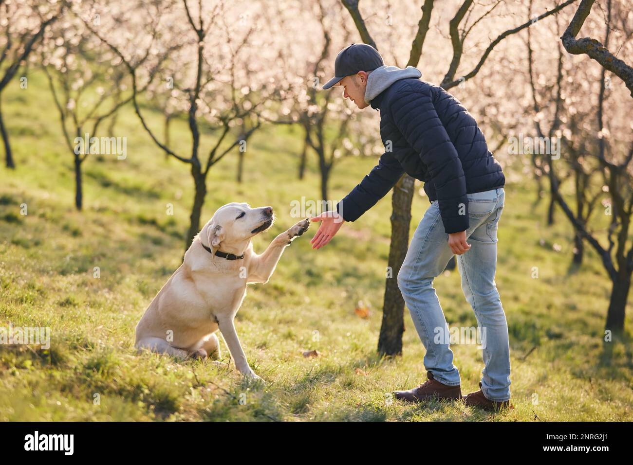 Man with dog in blooming public city park during spring day. Cute ...