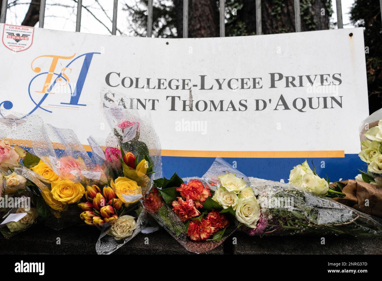 Expert herve hi-res stock photography and images - Alamy