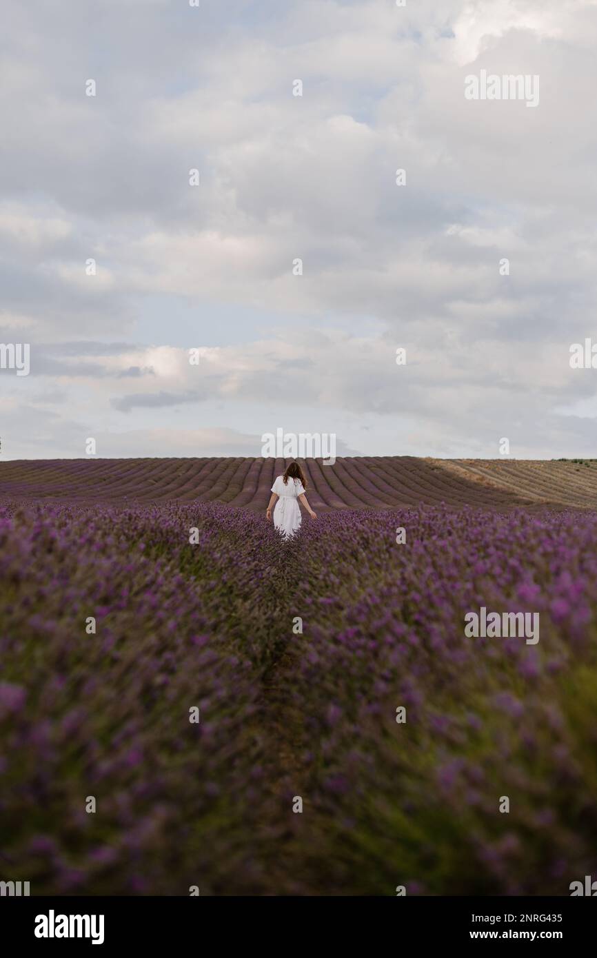 Beautiful woman walking through lavender hi-res stock photography and ...