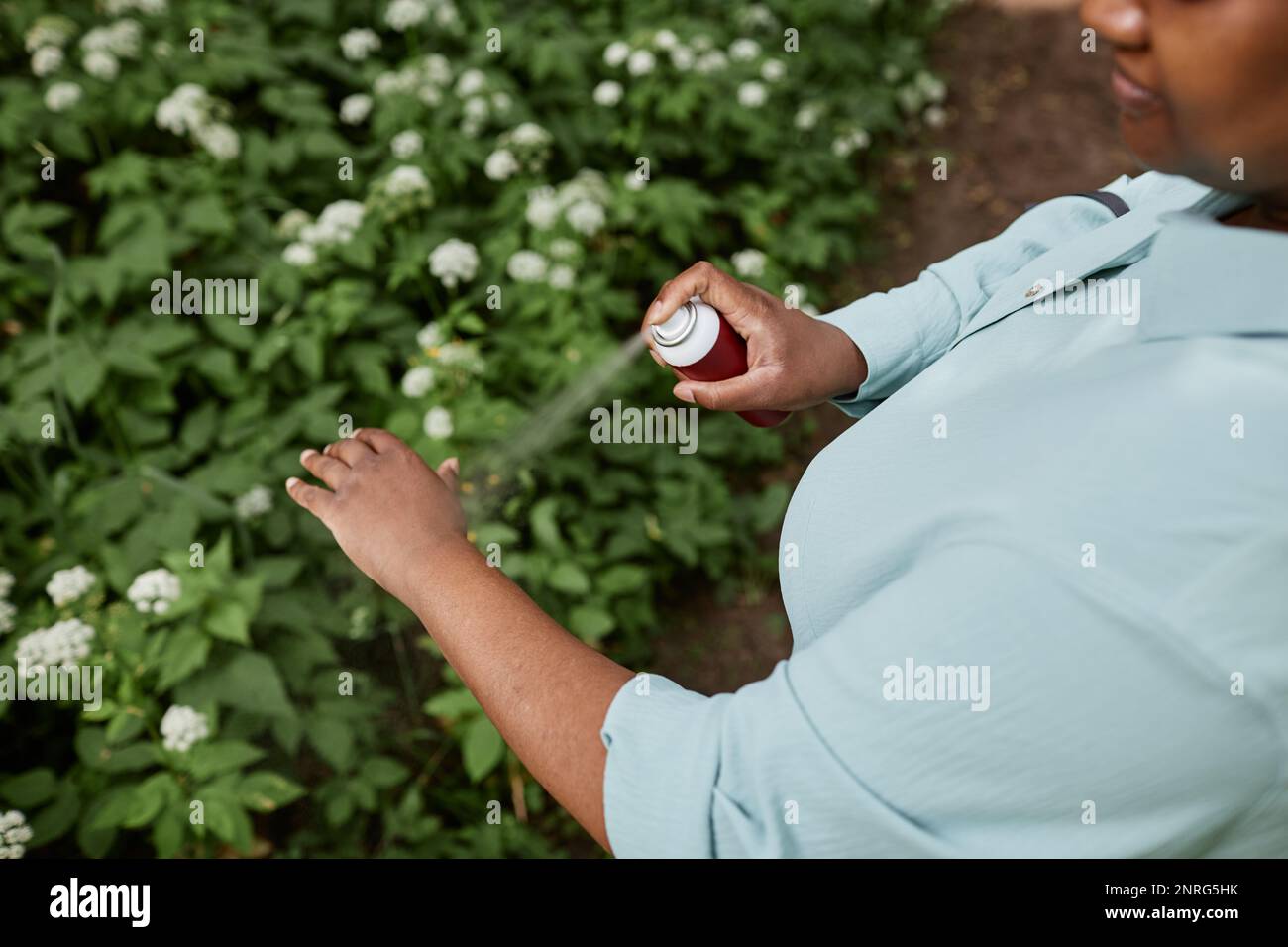 Woman spraying repellent hi-res stock photography and images - Alamy