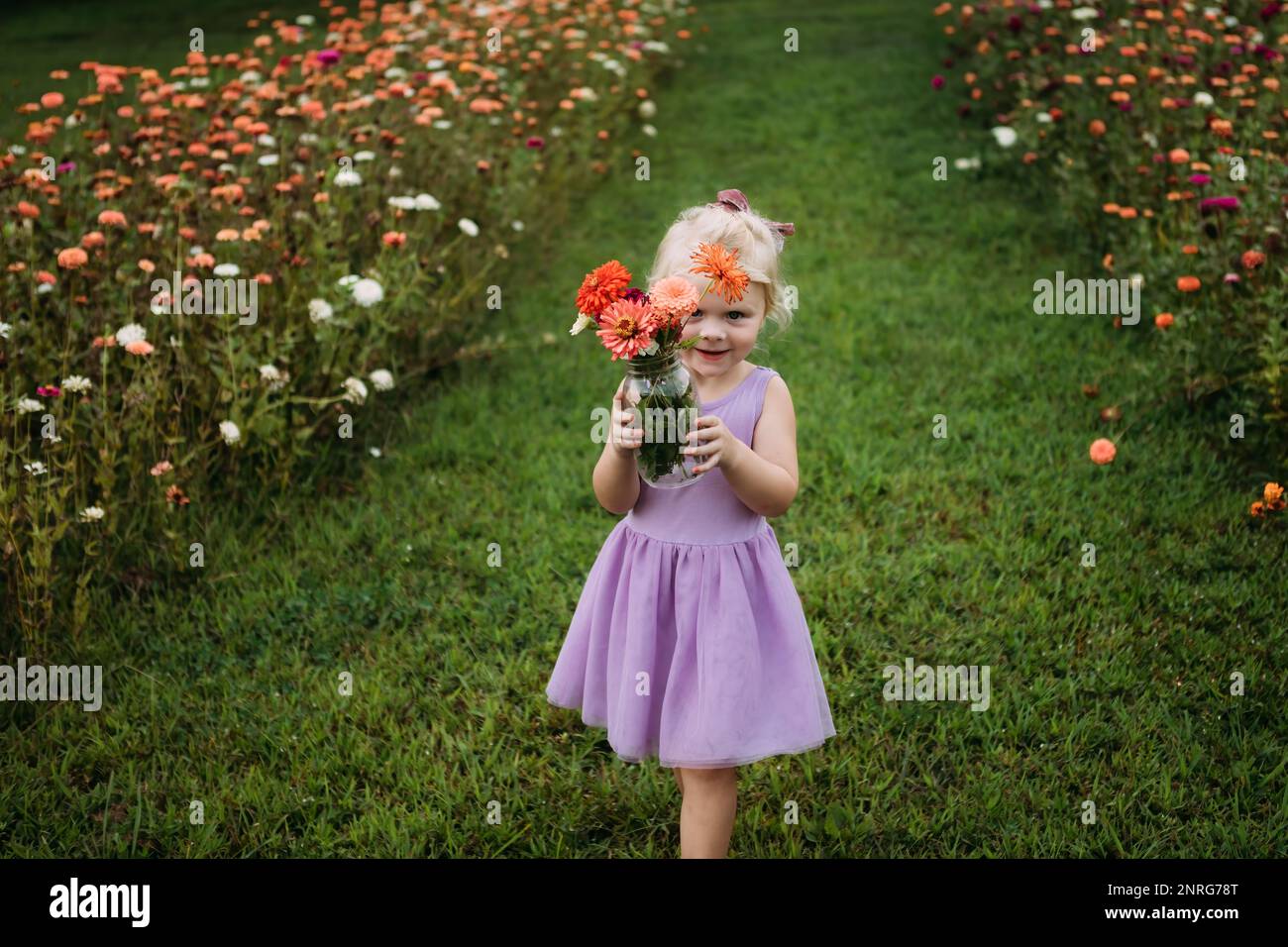 Girl walking through flower farm with bouquet of red flowers Stock ...