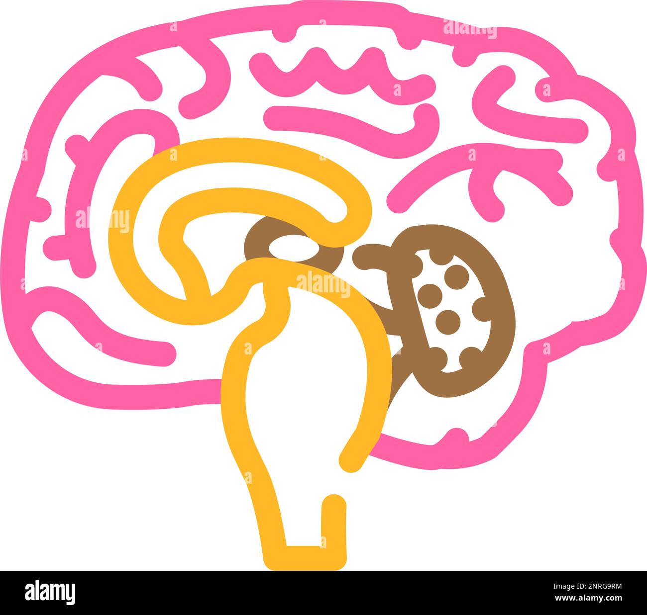 neurology brain color icon vector illustration Stock Vector Image & Art ...