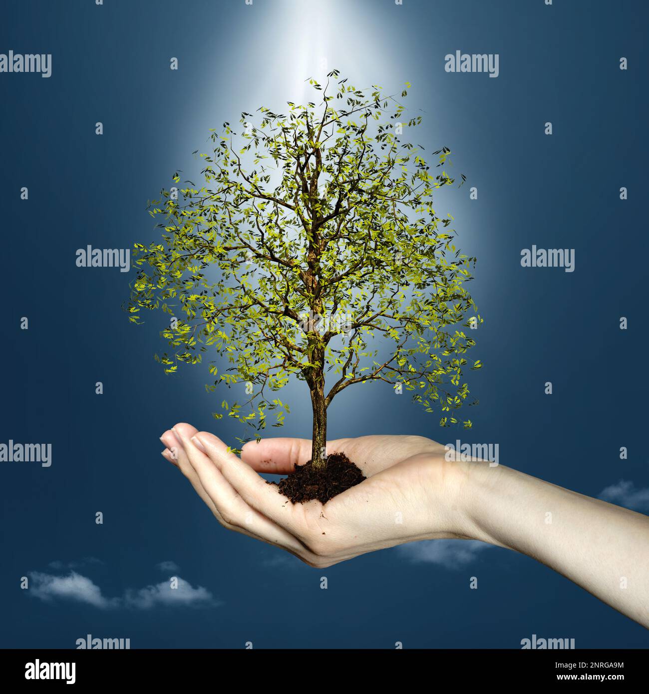 Sustainable Development, abstract environmentsl backgrounds Stock Photo ...