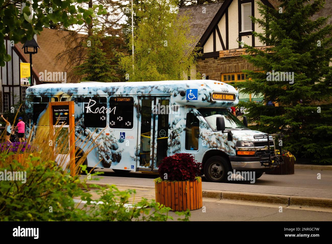 An aquamarine-colored bus is parked on the side of a tree-lined street ...