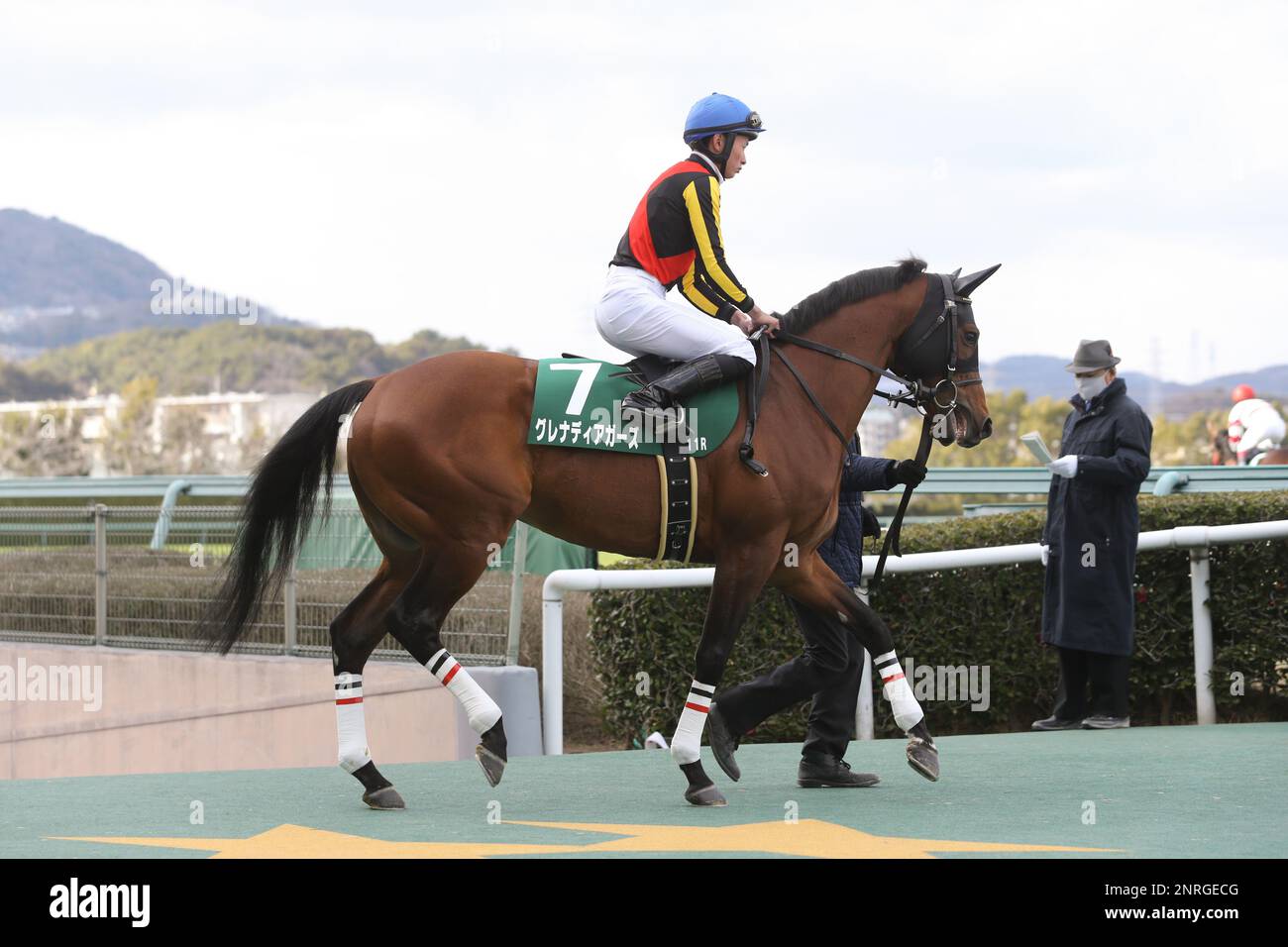 Hyogo, Japan. 26th Feb, 2022. Grenadier Guards and Mirai Iwata before ...