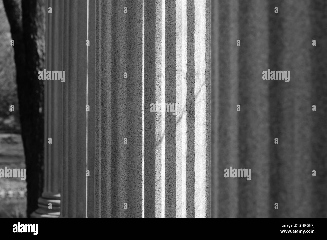 Full frame minimalist view of a typical classical Greek column with ...