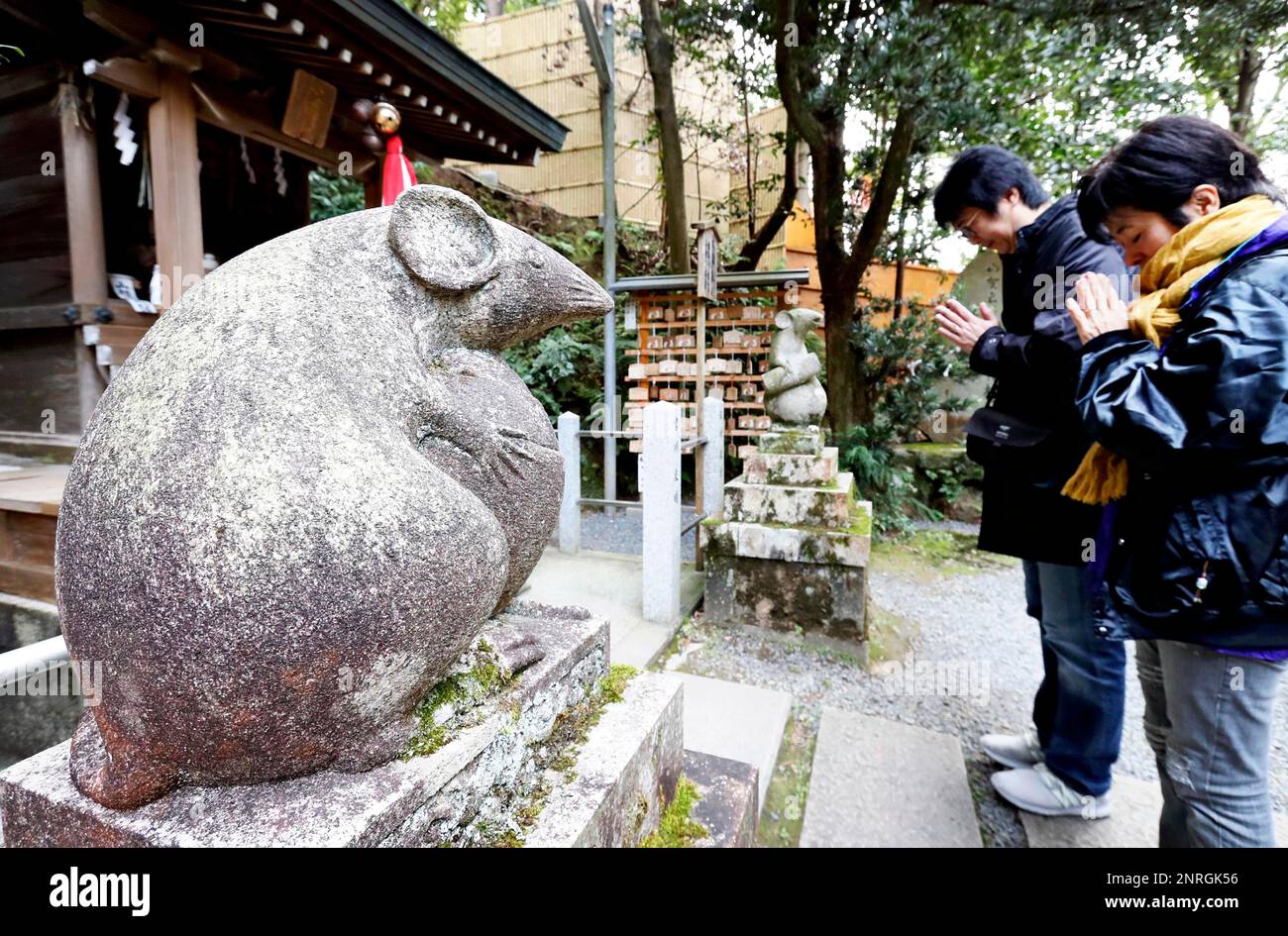 Rat statues are set at Otoyo Jinja Shrine in Kyoto, Kyoto Prefecture on ...