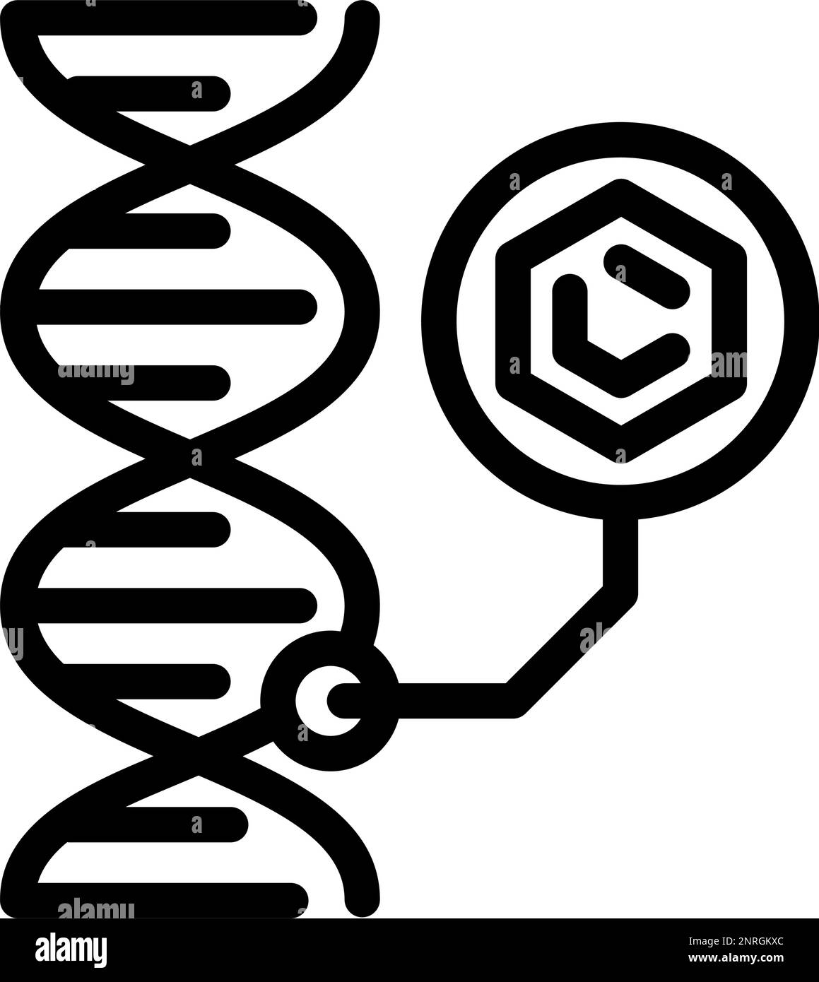 Biotechnology lab dna model Black and White Stock Photos & Images - Alamy