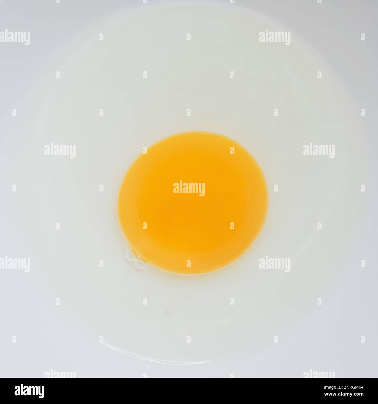 Uncooked yolk egg on white background. Chicken raw eggFresh food ...