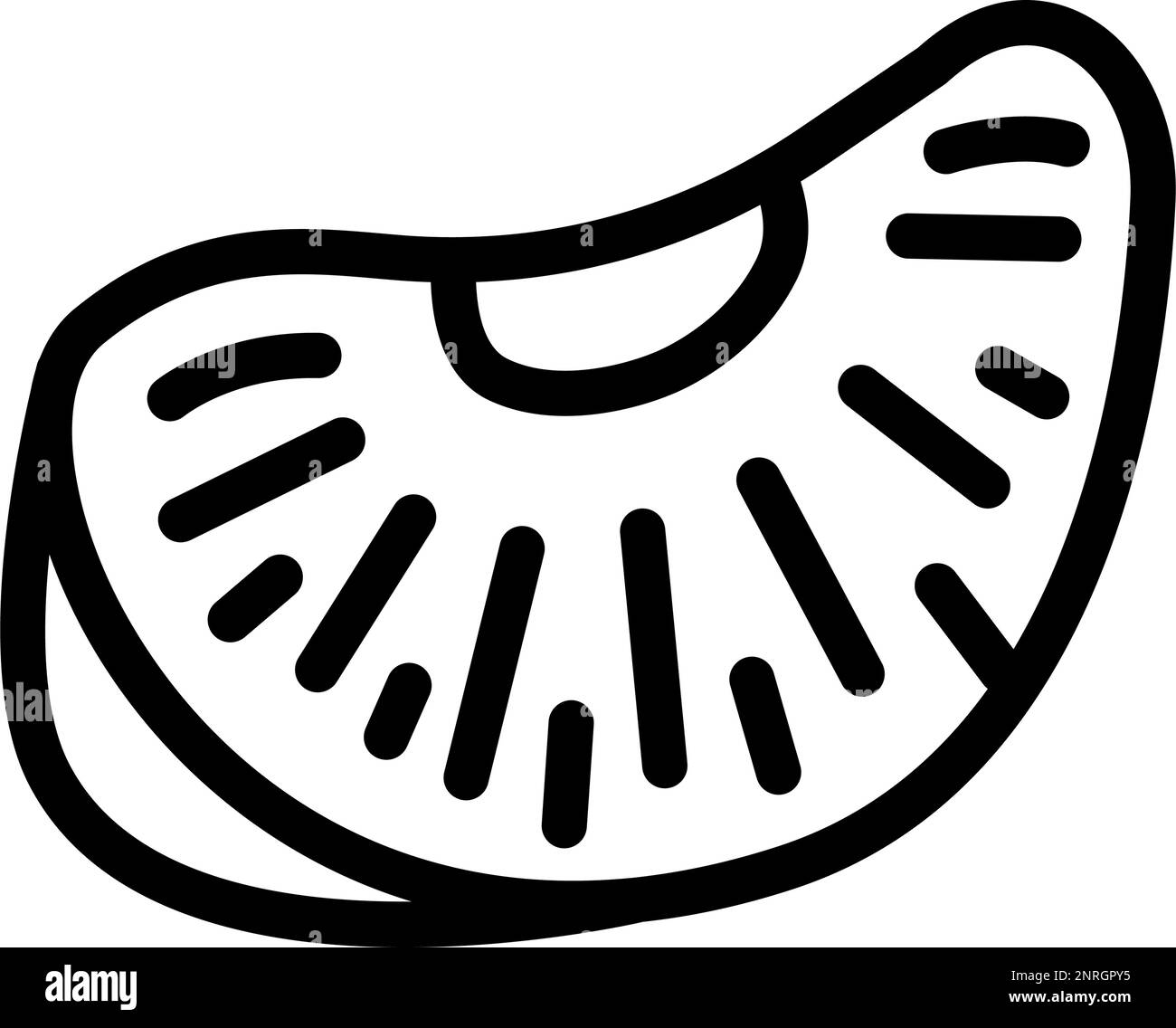 slice mandarin clementine line icon vector illustration Stock Vector ...