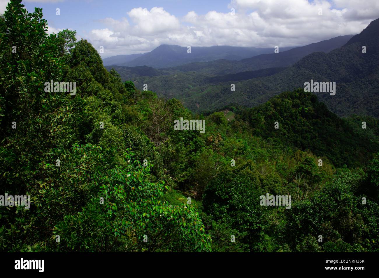 View of Crocker mountains which consists of the Mount Kinabalu. Mount ...