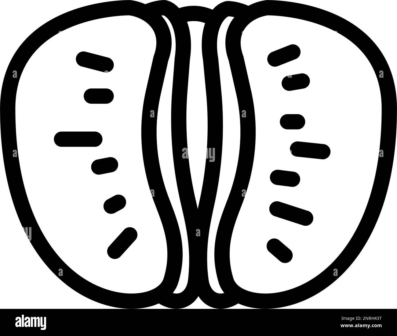 Tangerine mandarine slice orange Black and White Stock Photos & Images ...