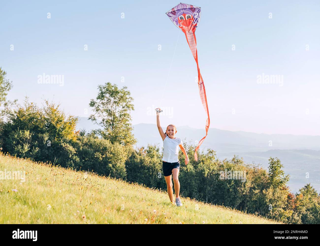 Children flying kites grass hi-res stock photography and images - Alamy
