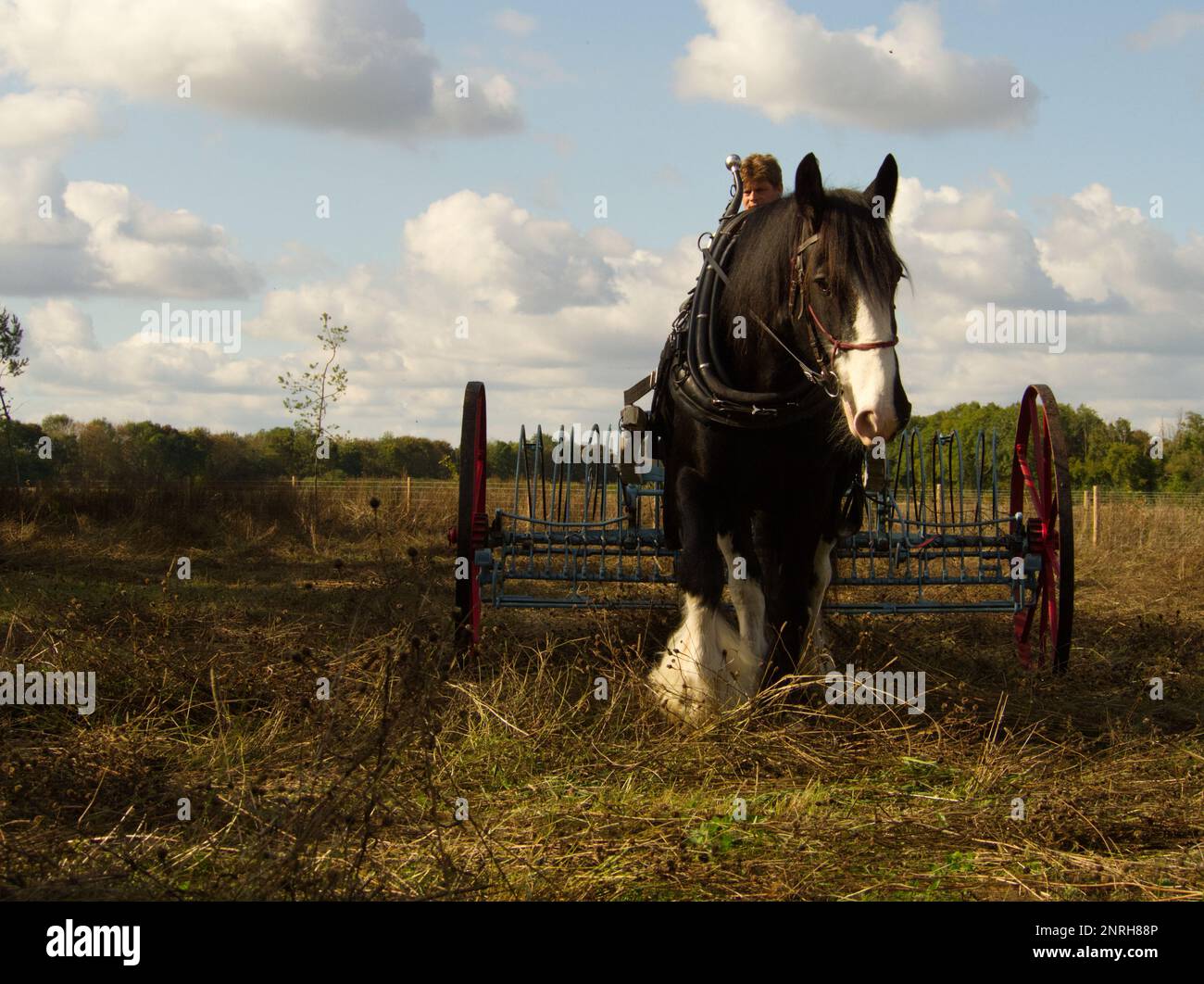 Traditional farming methods hi-res stock photography and images - Alamy Traditional farming methods hi-res stock photography and images - Alamy