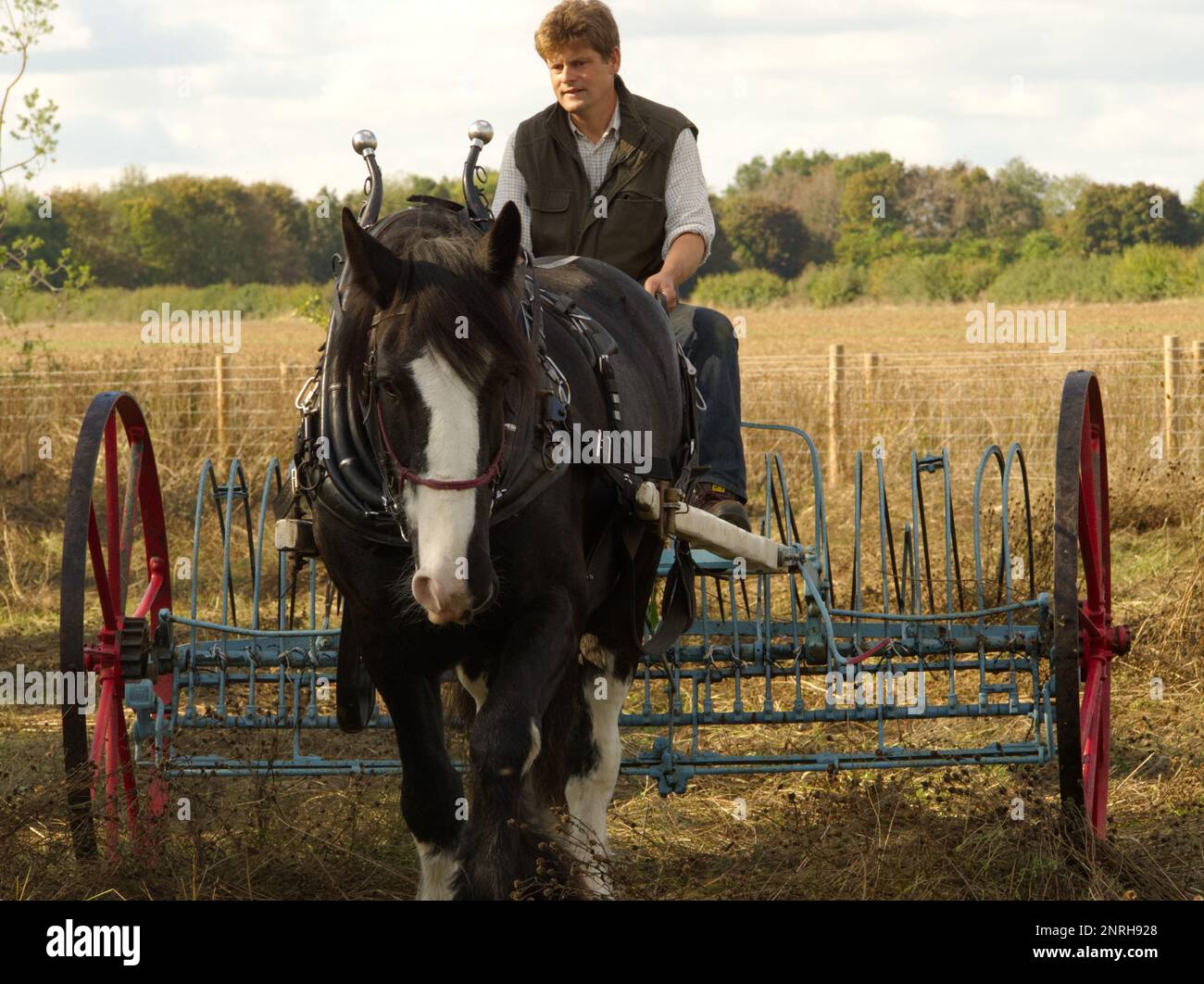 Traditional farming methods hi-res stock photography and images - Alamy Traditional farming methods hi-res stock photography and images - Alamy