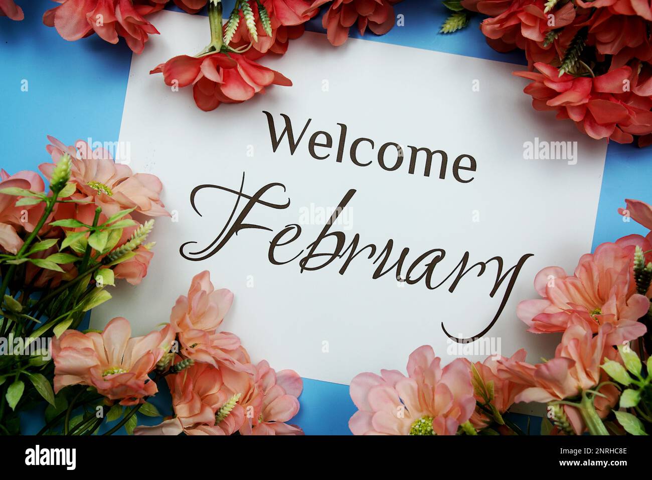 Welcome February text with Pink Flower frame on blue background Stock ...