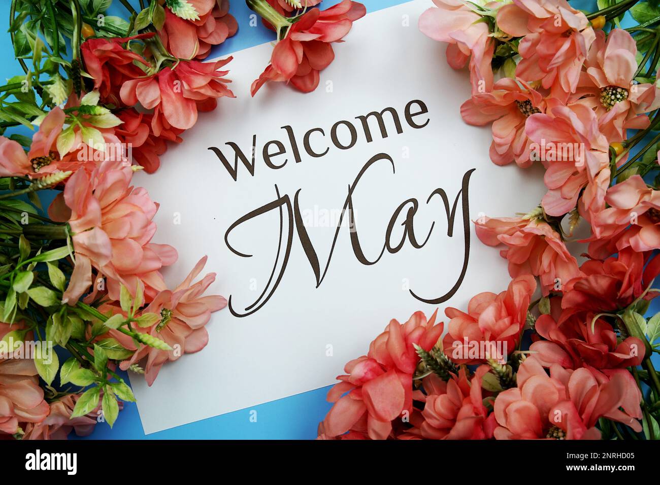 Welcome May text with Pink Flower frame on blue background Stock Photo ...