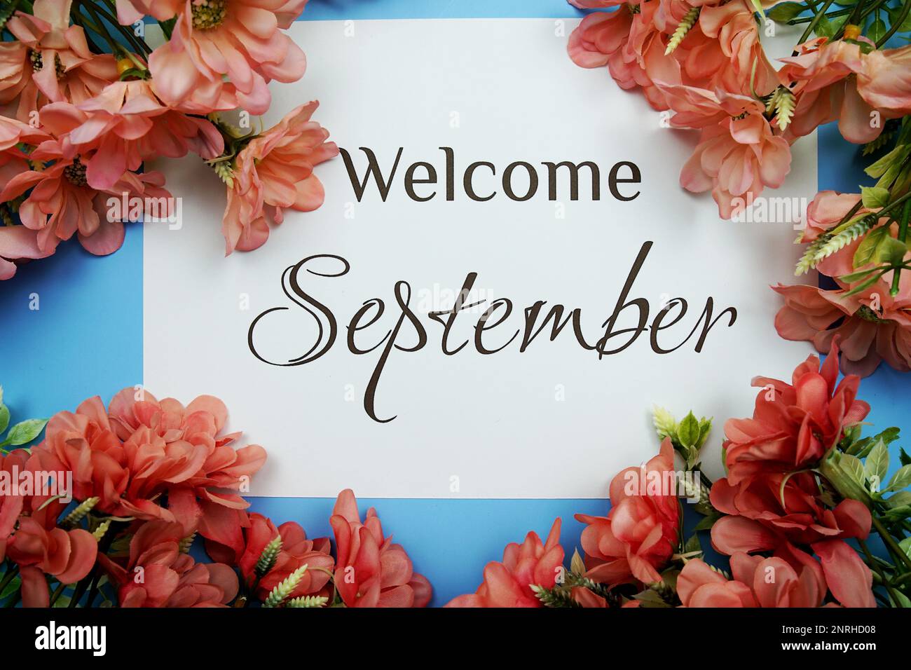 Welcome September text with Pink Flower frame on blue background Stock ...