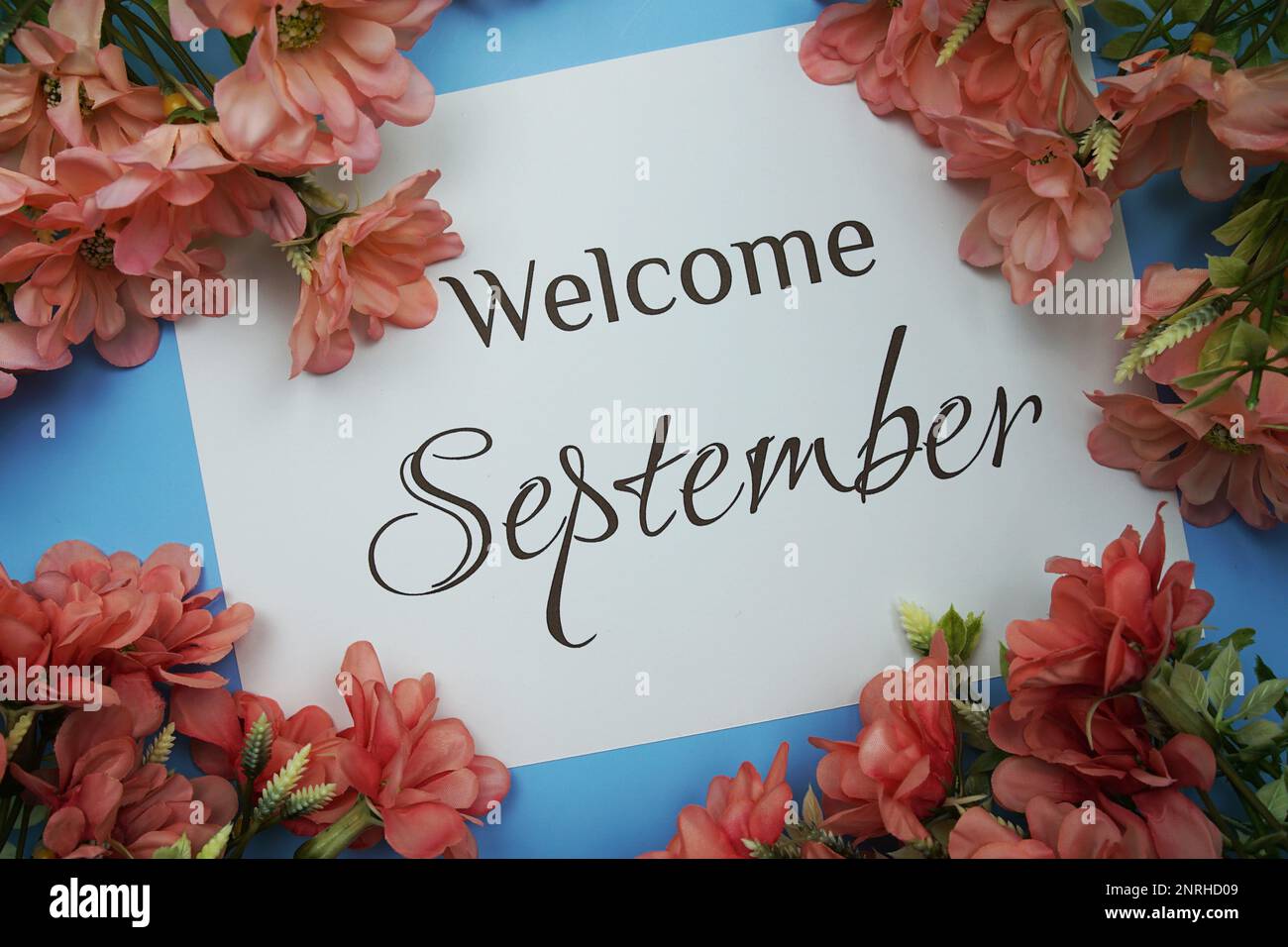 Welcome September text with Pink Flower frame on blue background Stock ...