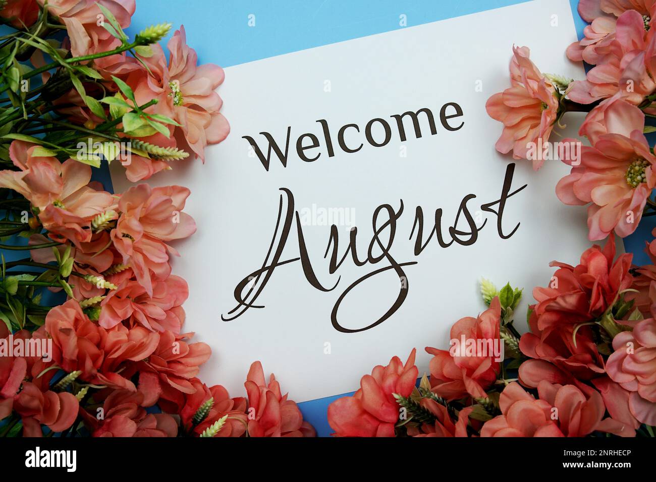 Welcome August text with Pink Flower frame on blue background Stock ...