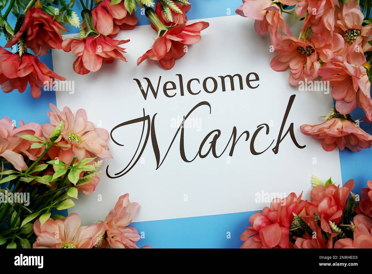 Welcome March text with Pink Flower frame on blue background Stock ...
