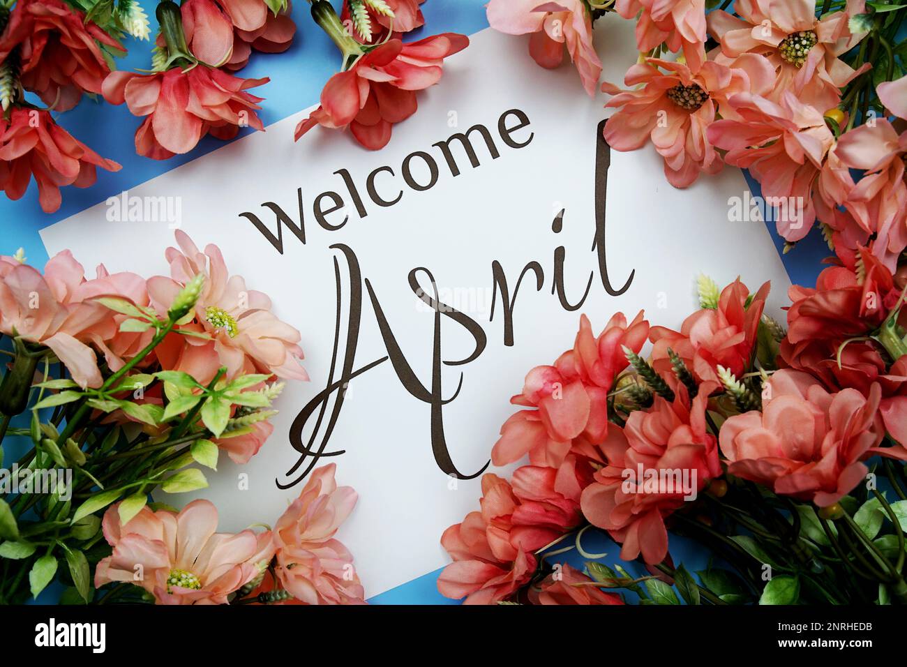 Welcome April text with Pink Flower frame on blue background Stock ...