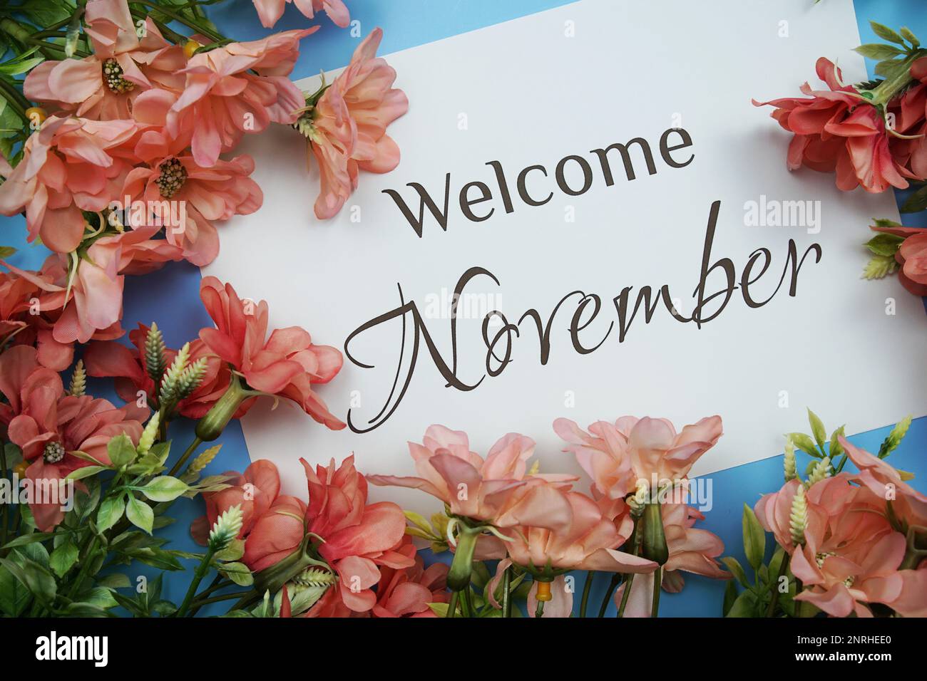 Welcome November text with Pink Flower frame on blue background Stock ...