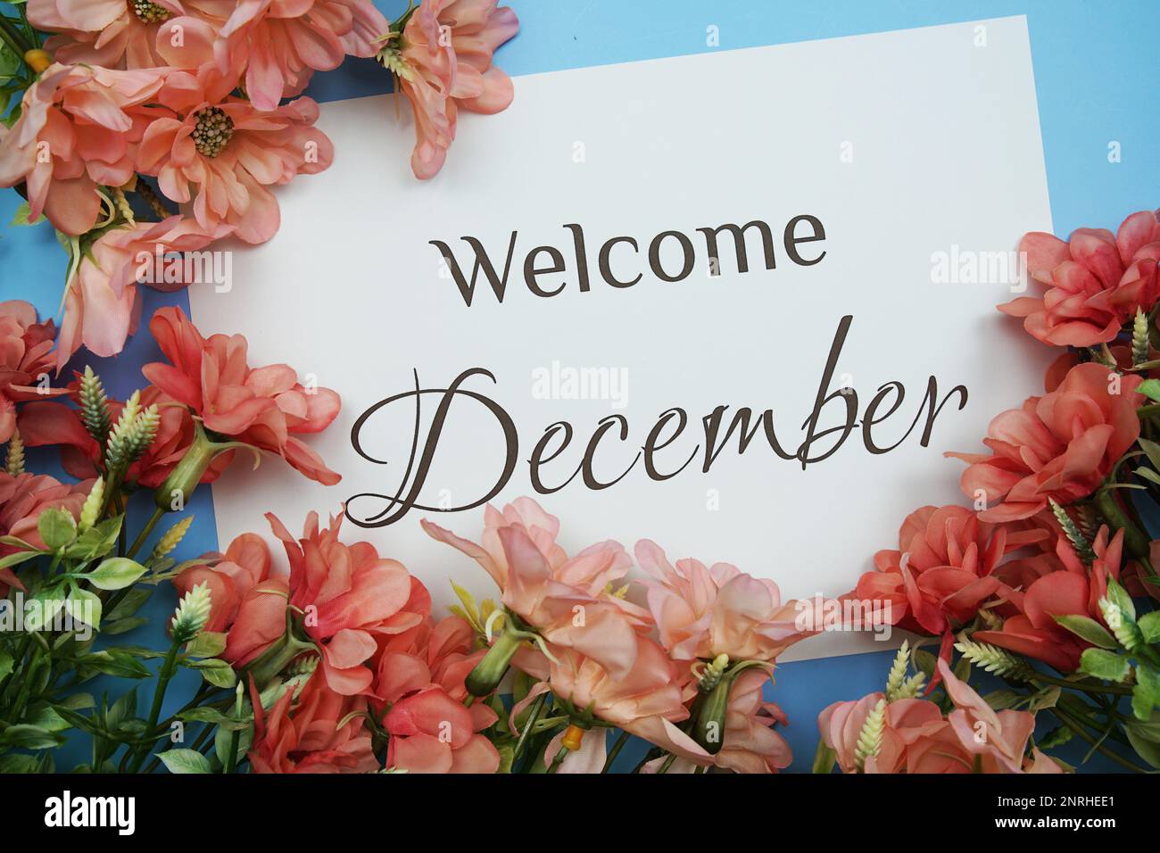 Welcome December text with Pink Flower frame on blue background Stock ...