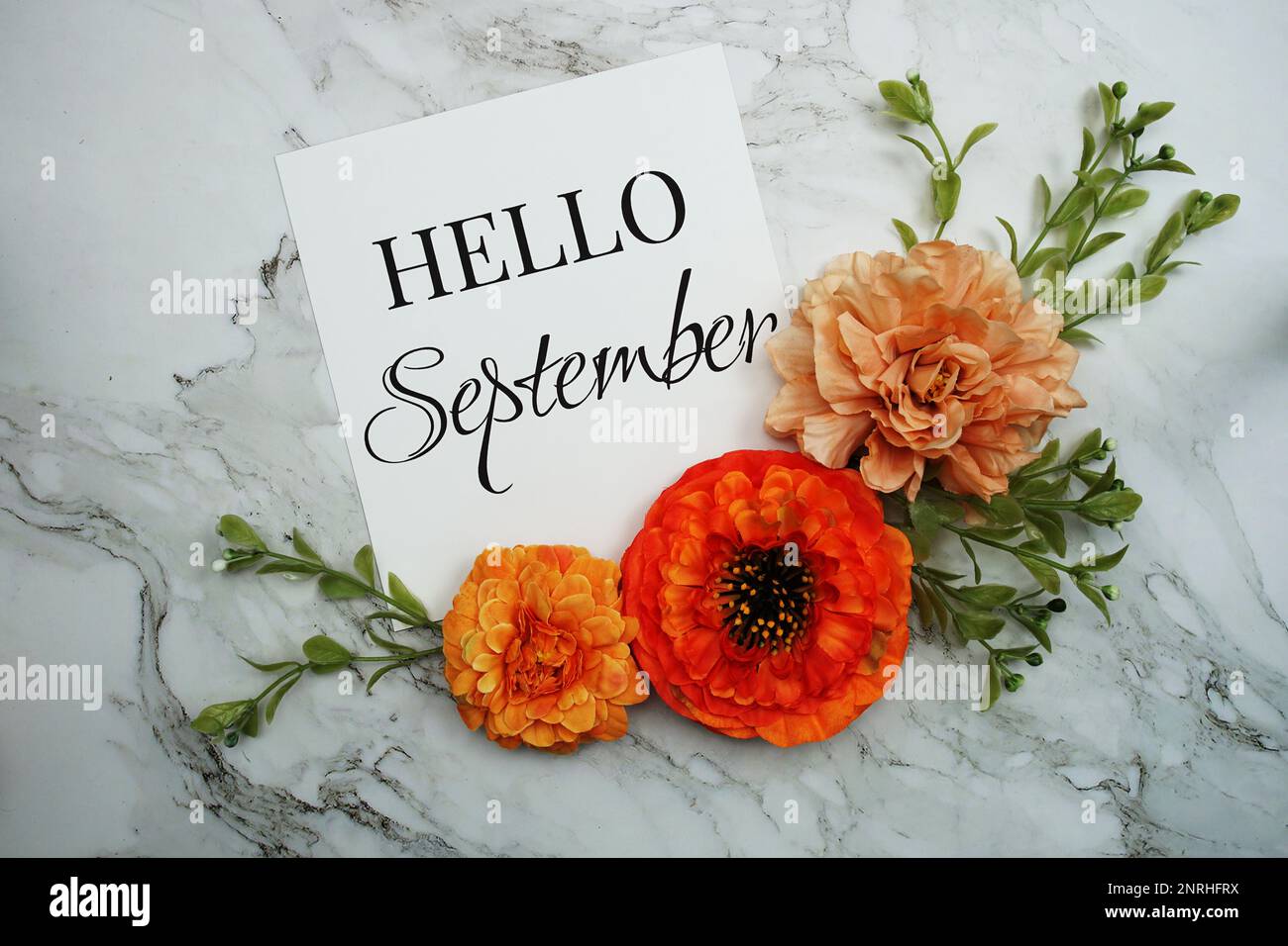 Hello September text with orange flower bouquet on marble background ...