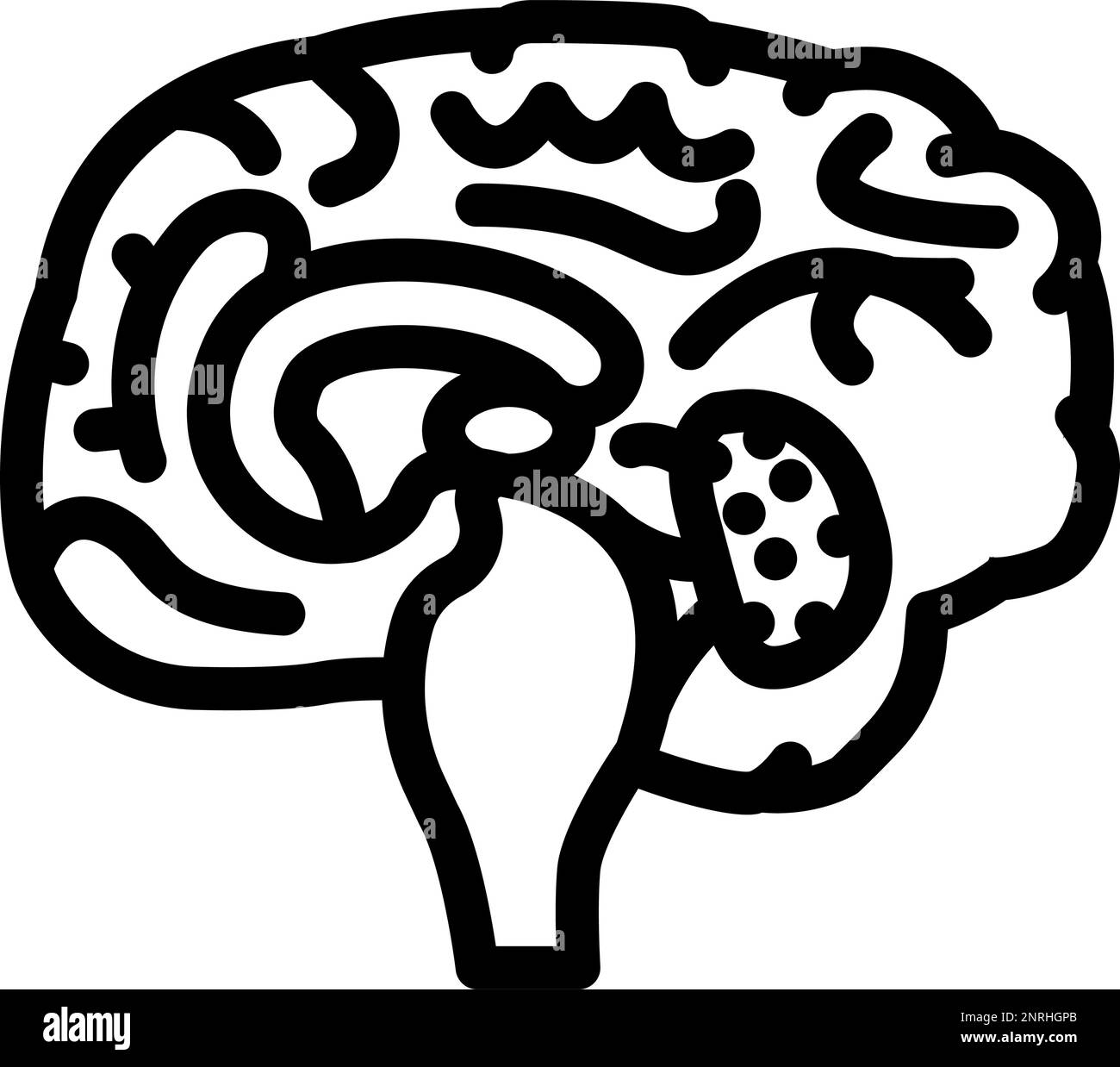 neurology brain line icon vector illustration Stock Vector Image & Art ...