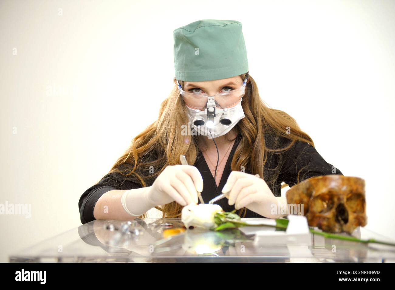 White rose with artificial blood scalpel and surgical instruments for ...