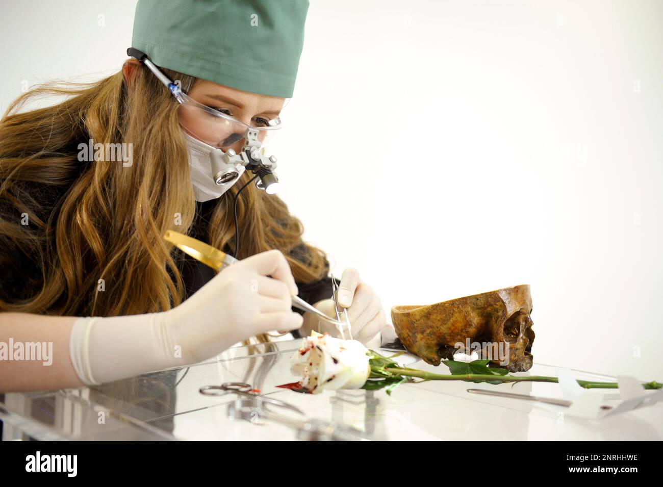 White rose with artificial blood scalpel and surgical instruments for ...