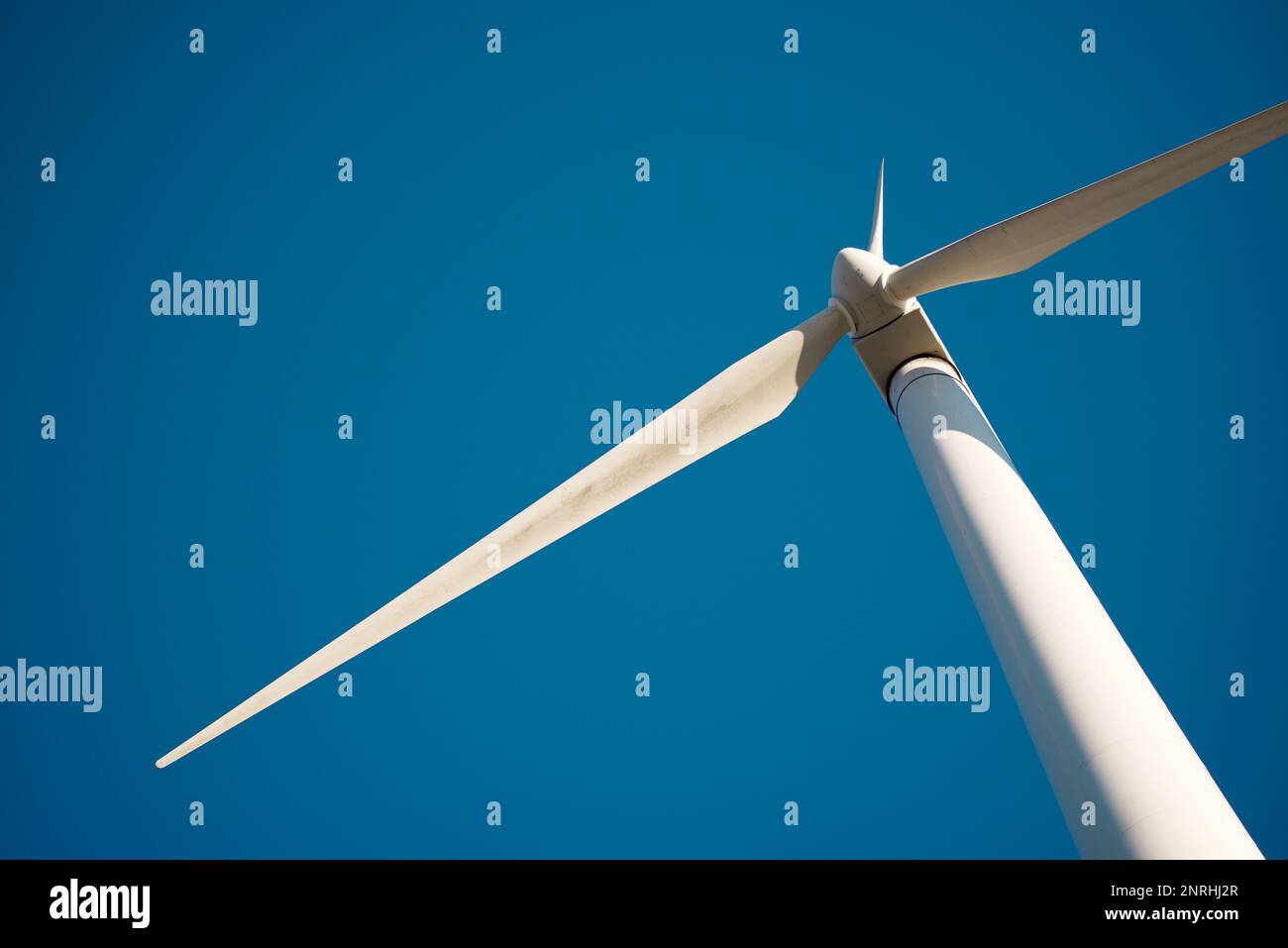 Wind turbine generator for sustainable electrical energy production ...