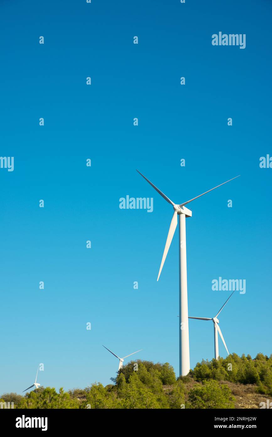 Wind turbine generators for green electrical energy production Stock ...