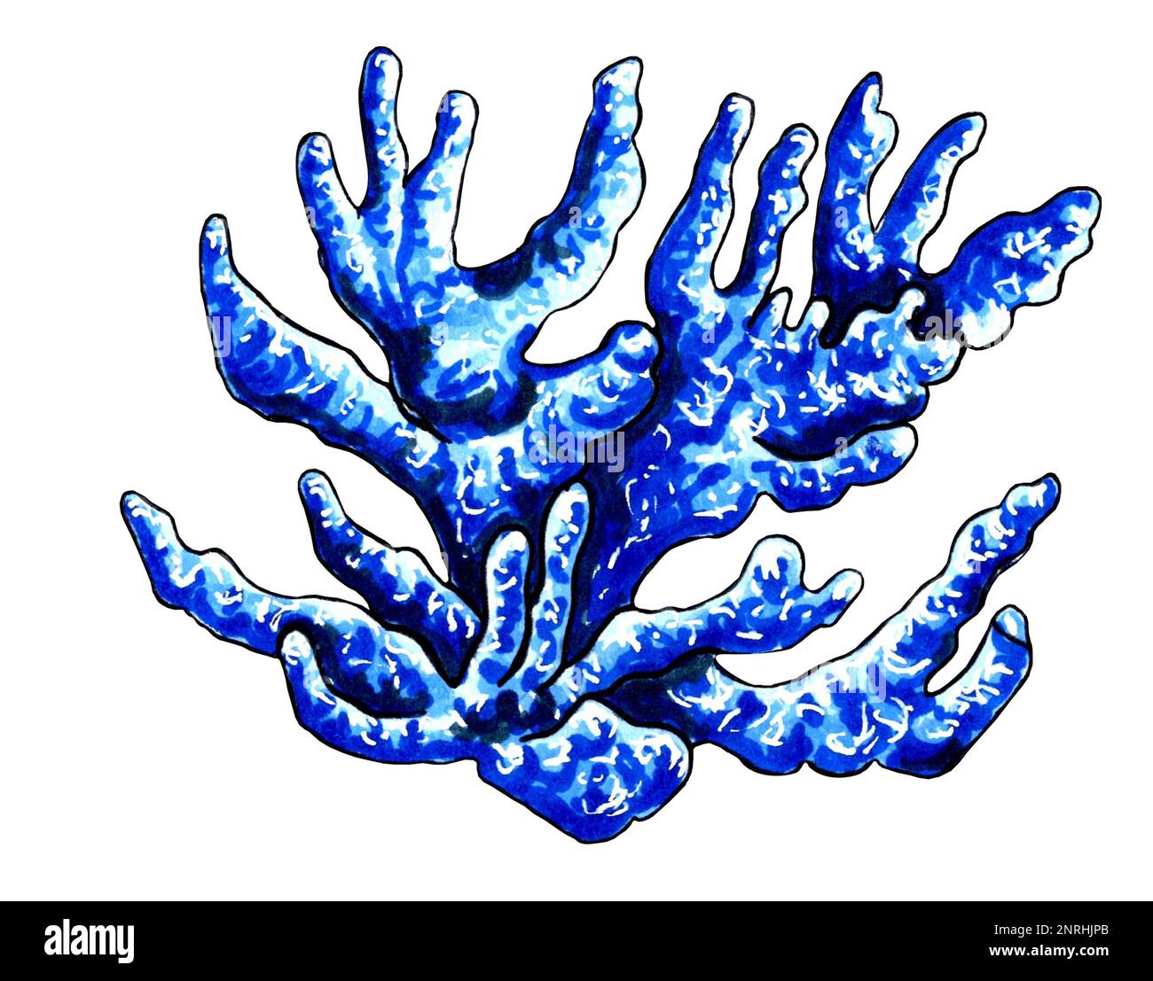 Ocean coral blue color with white speckles. JPEG illustration marine ...