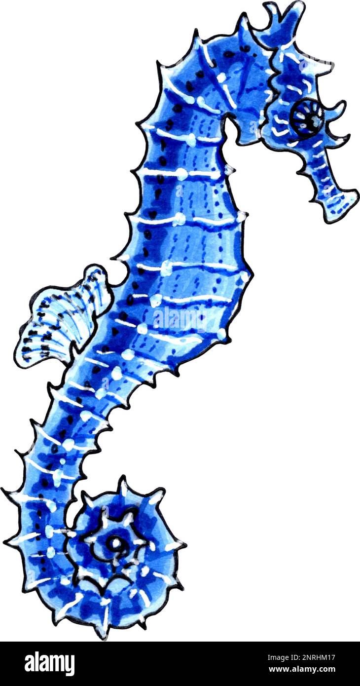 Blue Seahorse Clipart
