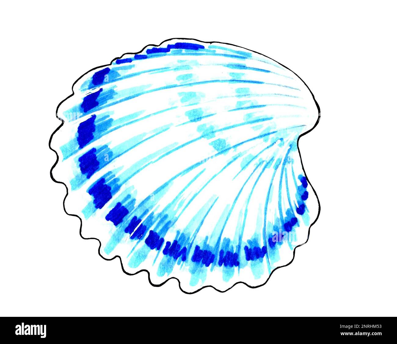 Swirling wavy seashell blue color. JPEG illustration marine life Stock ...