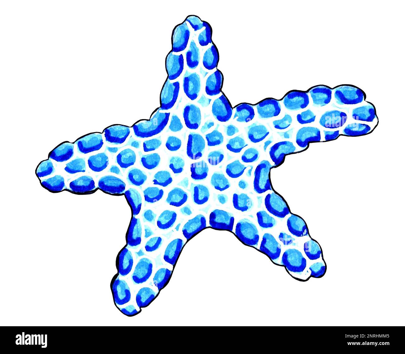 Starfish spoblue color. JPEG illustration marine animals Stock Photo ...