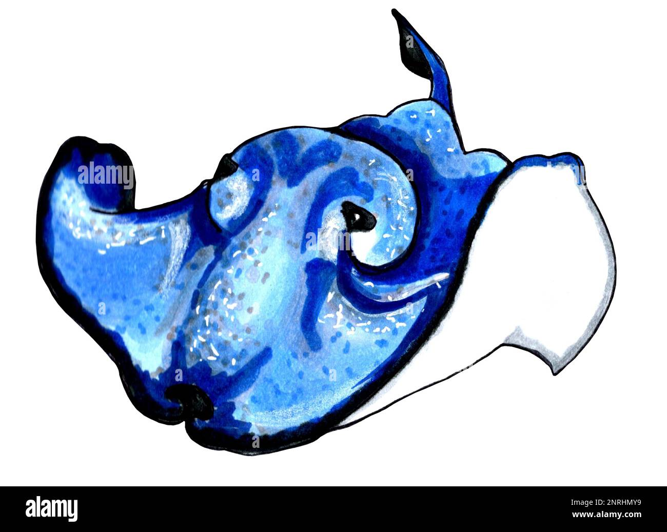 Ocean stingray blue color. JPEG illustration marine animals Stock Photo ...