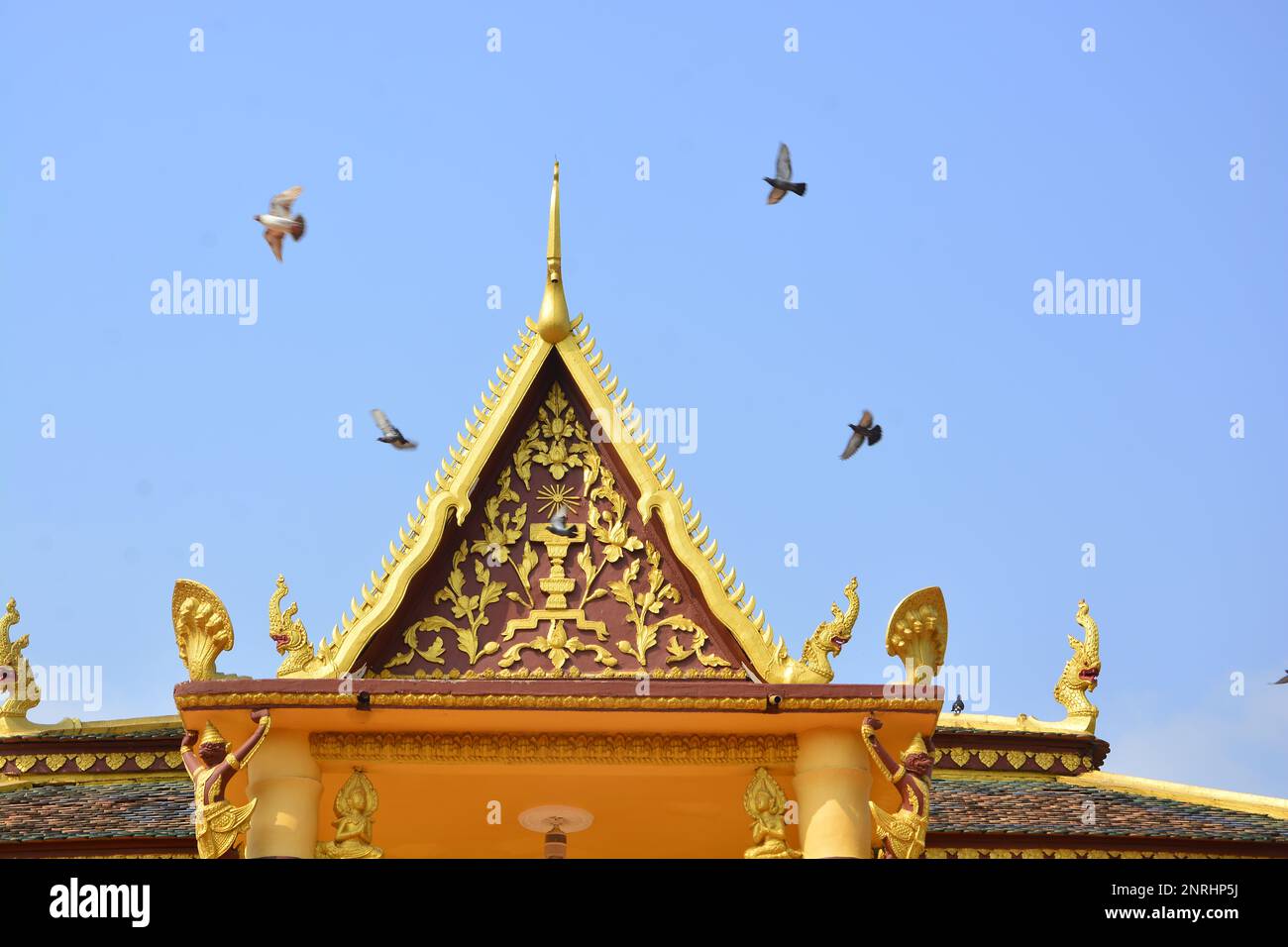 Pigeons frame the golden roof of pagoda bathed in morning light in ...