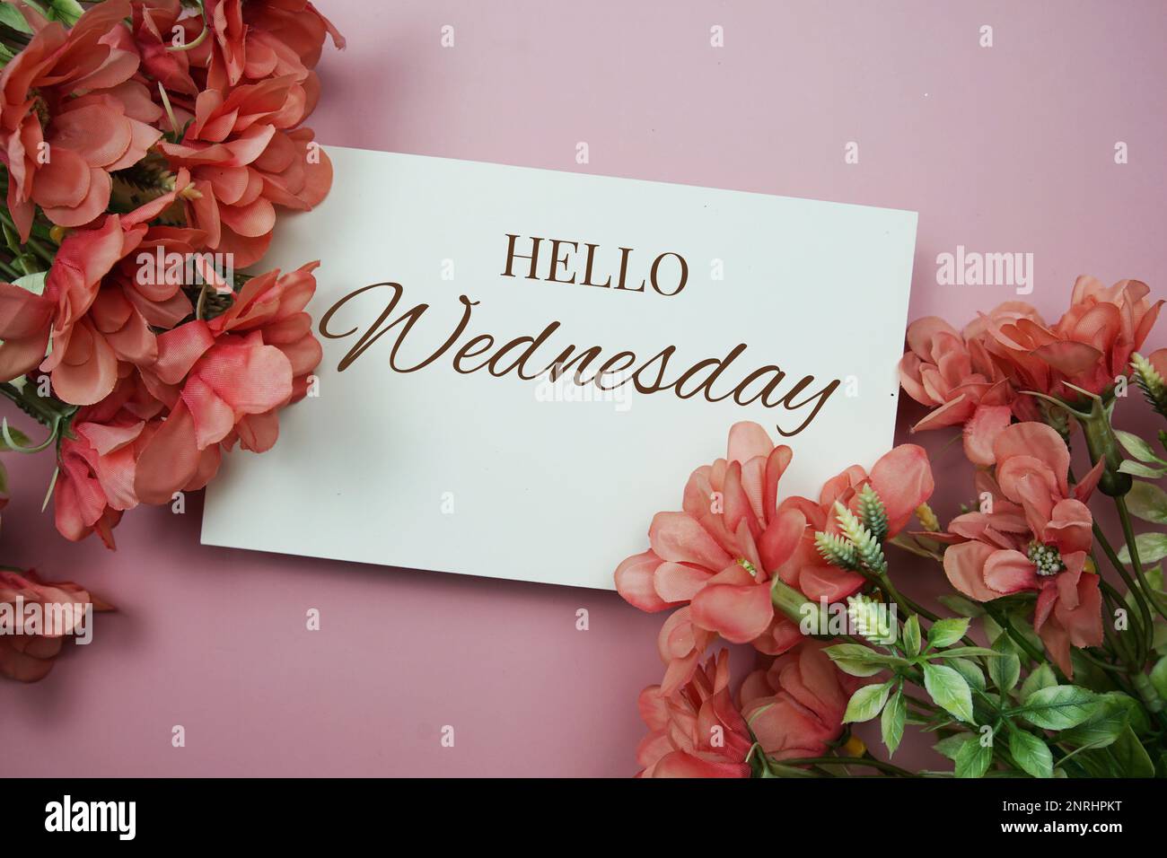 Hello Wednesday typography text with flowers frame on pink background ...