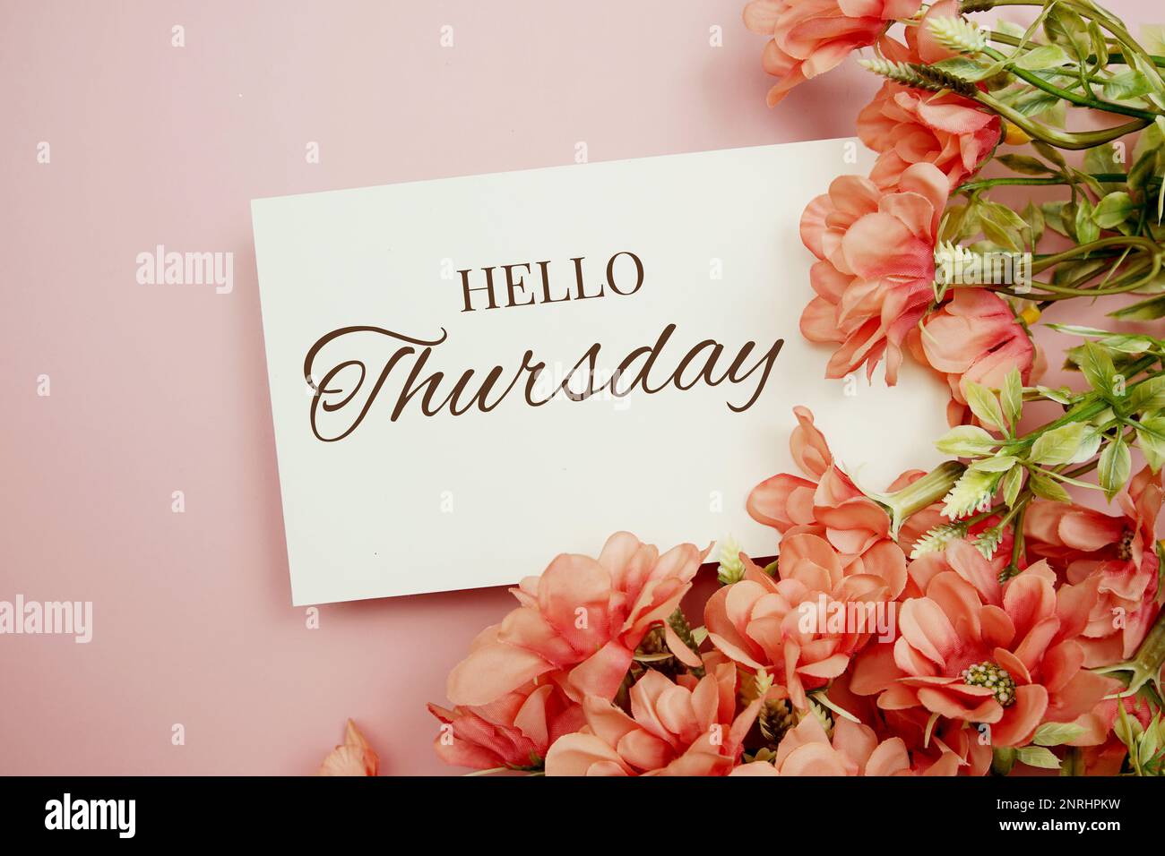 Hello Thursday typography text with flowers frame on pink background ...