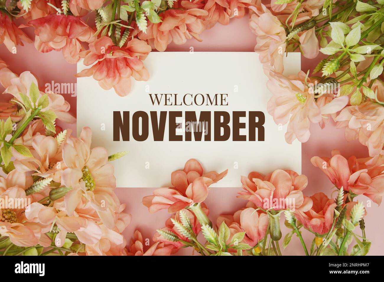 Welcome November typography text with flowers frame on pink background ...