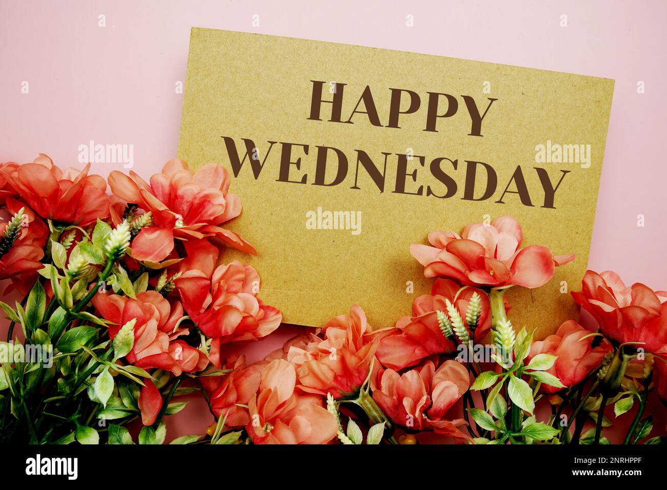 Happy Wednesday typography text with flowers on pink background Stock ...
