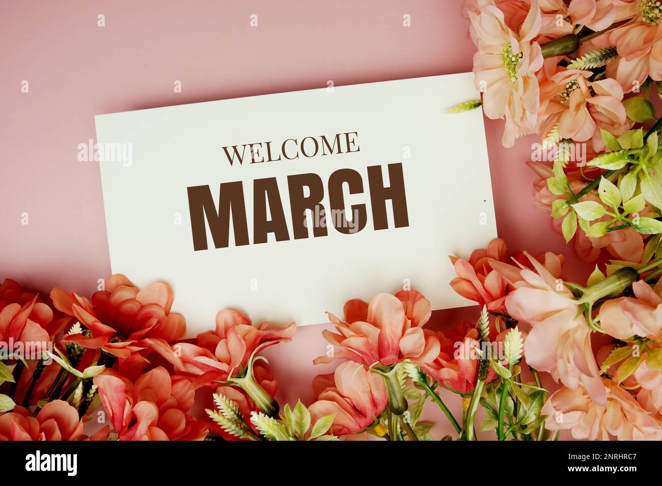 Welcome March typography text with flowers frame on pink background ...