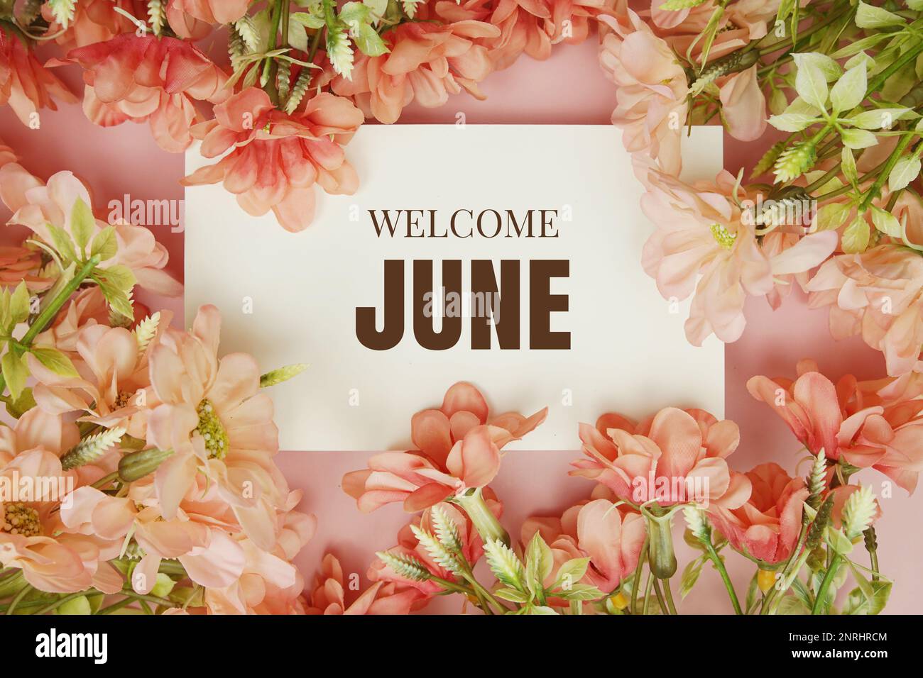 Welcome June typography text with flowers frame on pink background ...