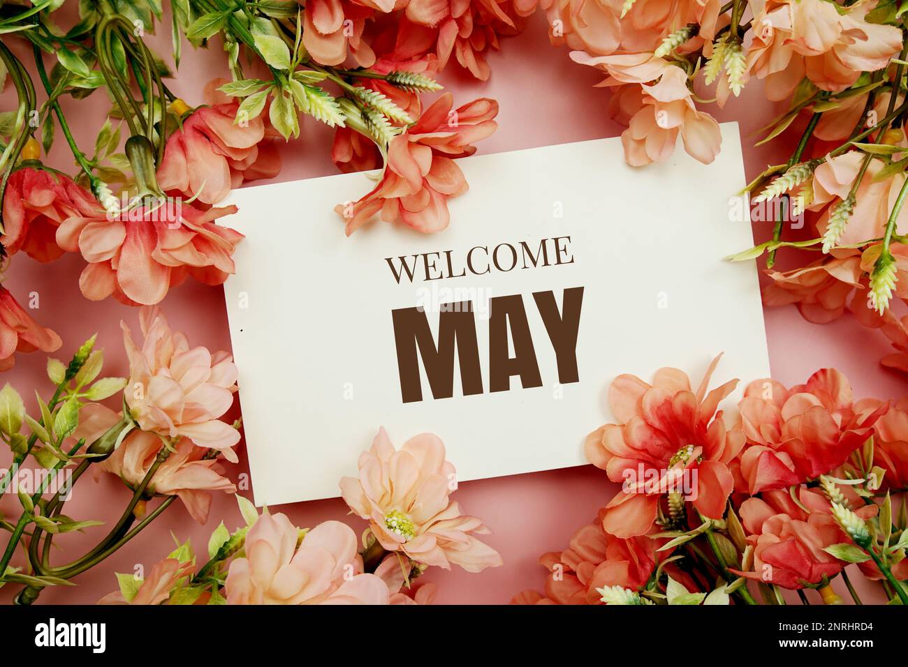 Welcome May typography text with flowers frame on pink background Stock ...