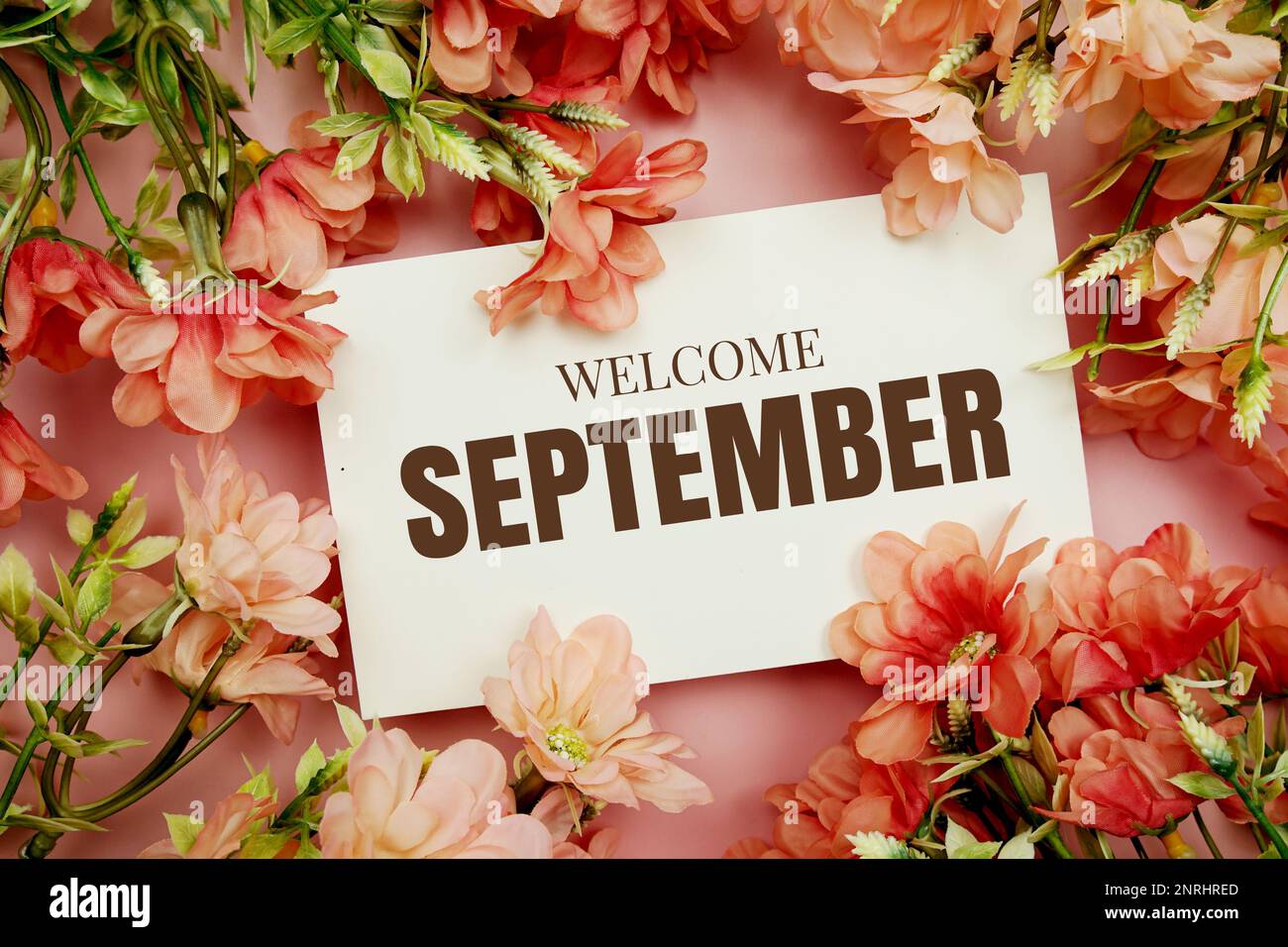 Welcome September typography text with flowers frame on pink background ...