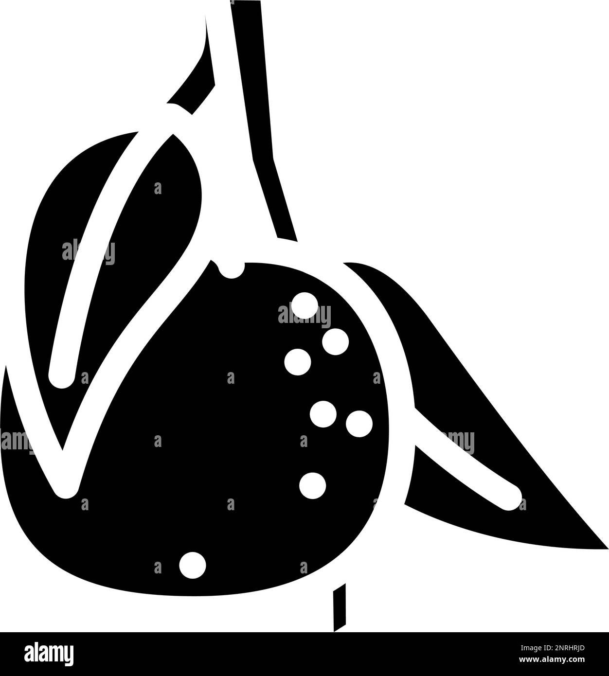 branch mandarin leaf glyph icon vector illustration Stock Vector Image ...