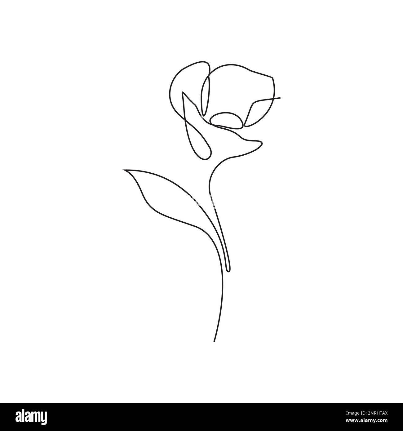 Continuous rose branch Stock Vector Images - Alamy